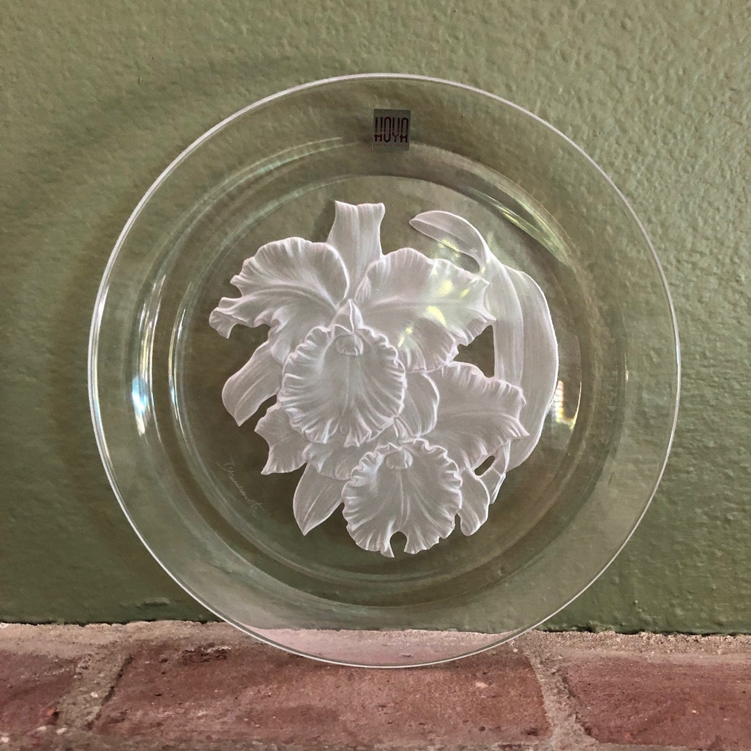 Hoya Crystal Plate Flower of the Month - Orchids - Etsy