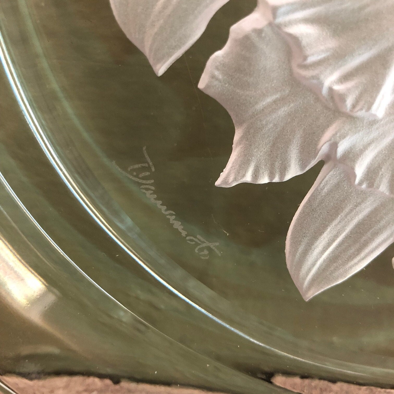 Hoya Crystal Plate Flower of the Month - Orchids - Etsy