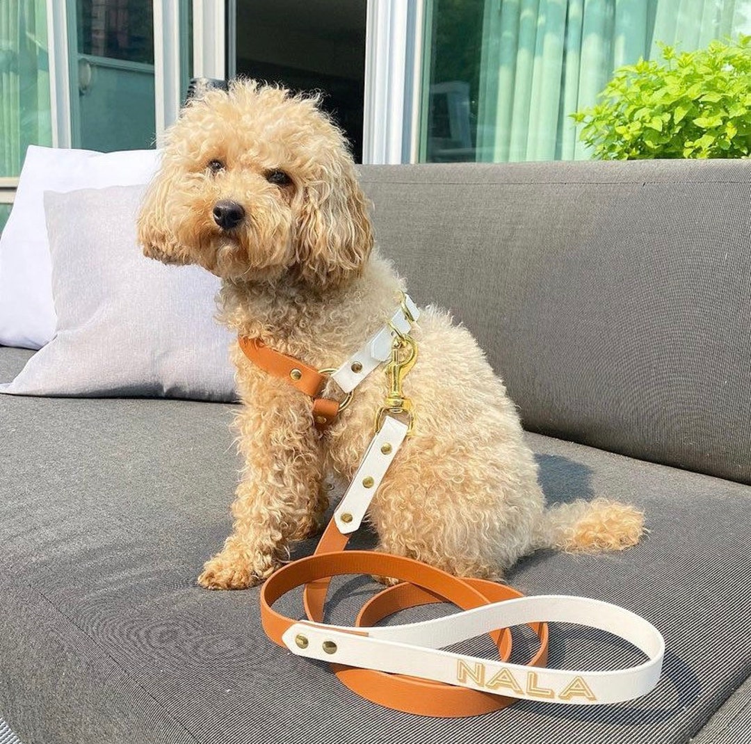 Waterproof Biothane Dog Harness, No Pull Dog Harness, Step in Dog ...