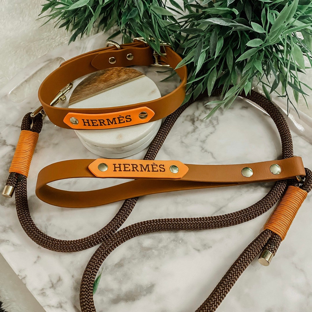 Waterproof Rope Leash, Rope Leash, Biothane Leash, Dog Leash, Puppy ...