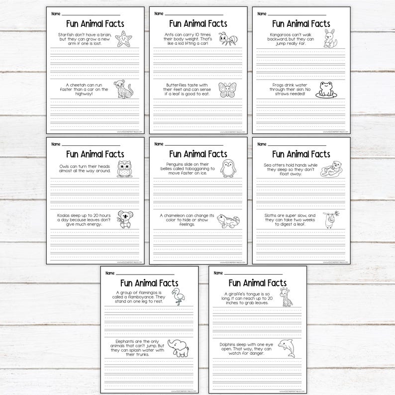 Animal Facts Worksheets - Printable - Homeschool - Teacher Resources ...