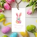 Editable Easter Gift Tags - Printable - Cute Easter Favor Tag - School ...