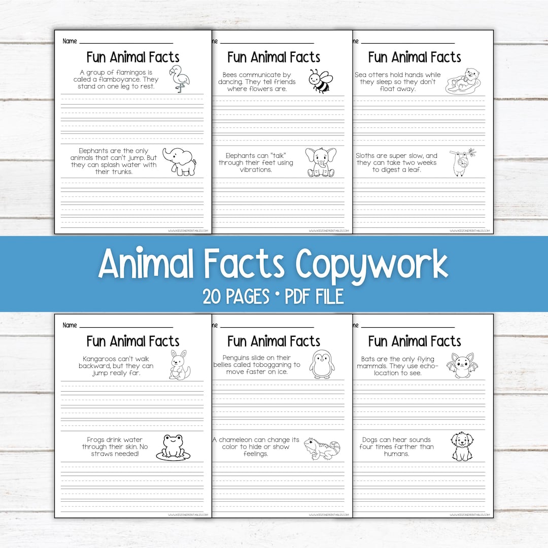 Animal Facts Worksheets - Printable - Homeschool - Teacher Resources ...
