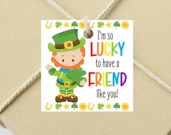 Printable St. Patrick's Day Gift Tag/gift Tag/saint Patricks Day ...