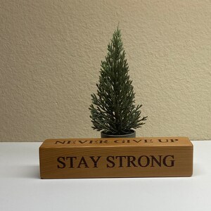 Never Give up Stay Strong Fight Hard Keep Going Wood Block Sign Shelf ...
