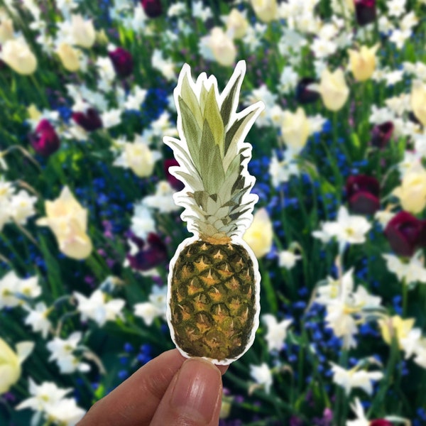 Pineapple Sticker - Etsy