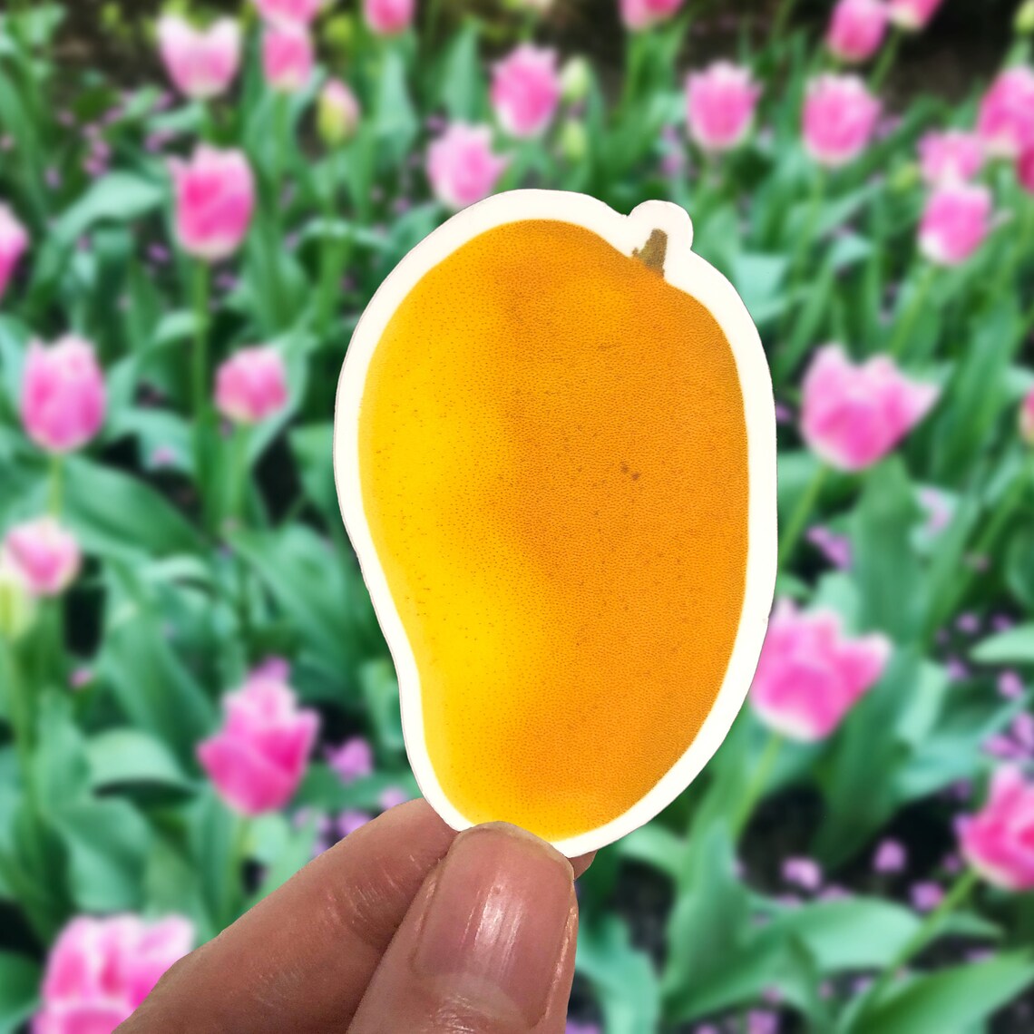 Mango Fruit Sticker / Impermeable Vinilo Fruta Pegatina / - Etsy España
