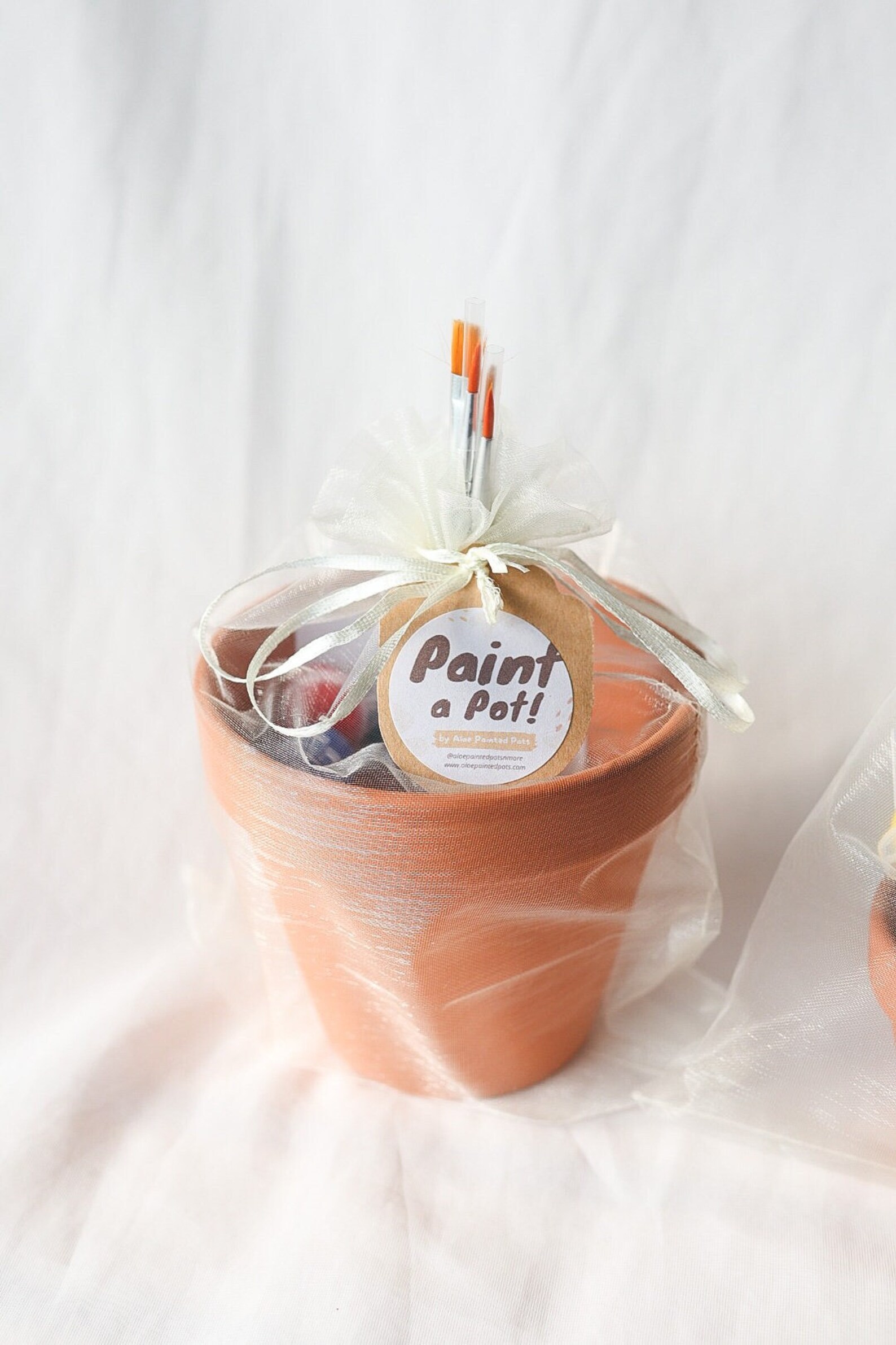 Paint a Pot Kit for All Ages, Date Night Activity, 5-minute Craft ...