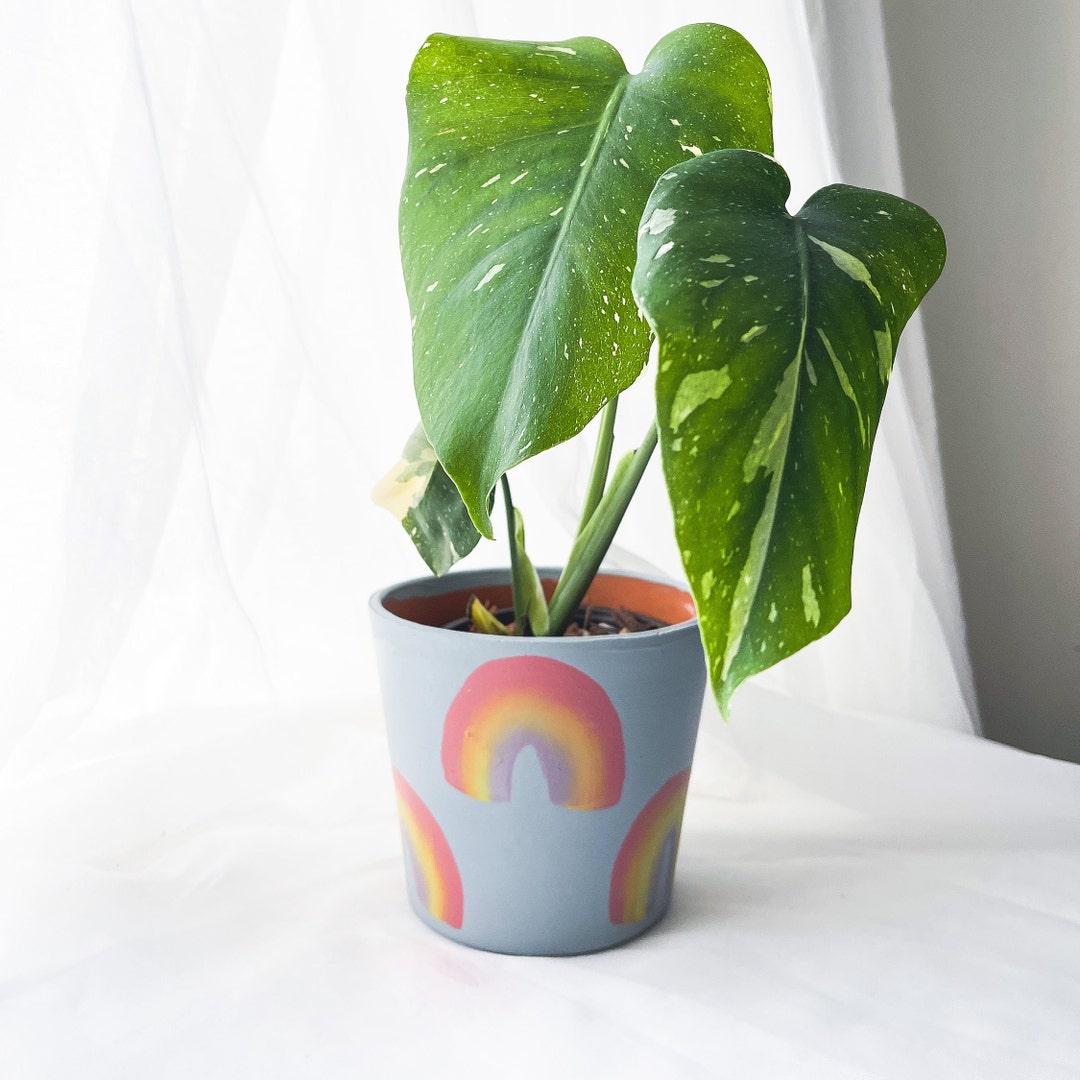 Sky Blue Rainbow Pots, Painted Plant Pots, Hand Painted Pots, Painted ...