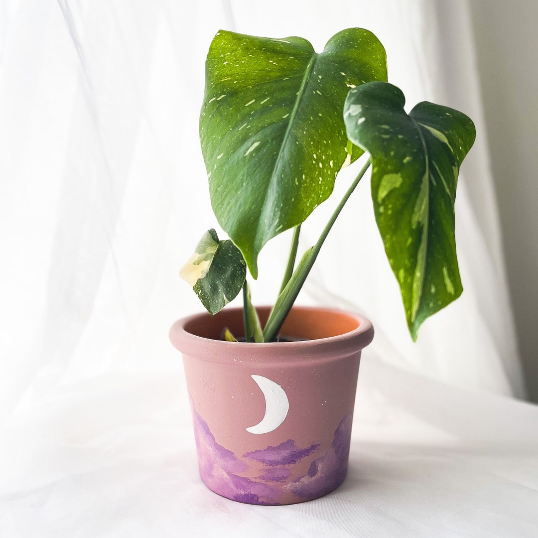 Purple Dreamy Nightsky Pot, Painted Plant Pot, Hand Painted, Crescent ...