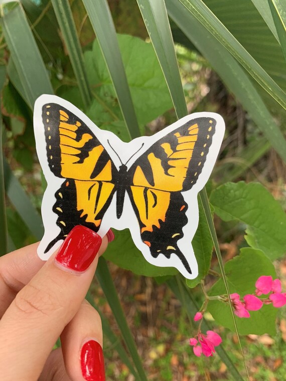Cute Cartoon Monarch Butterfly