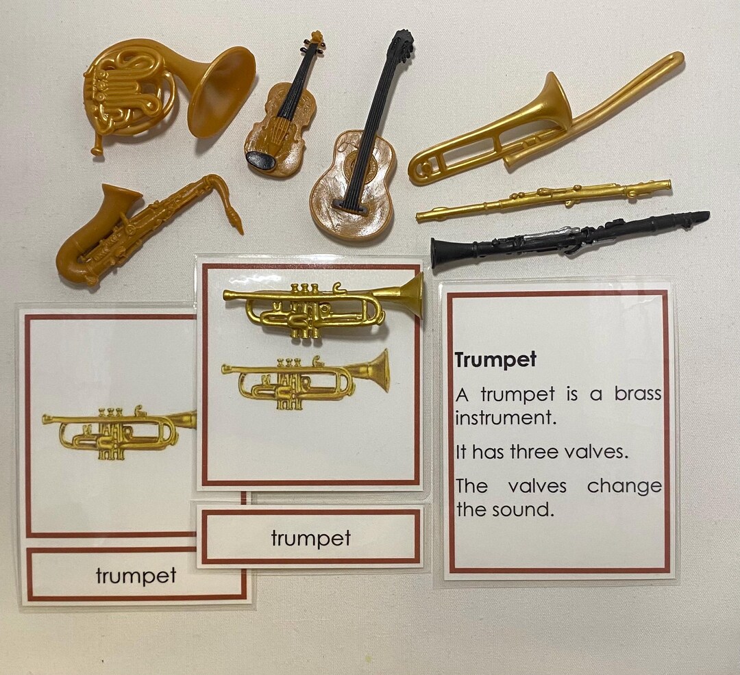 Montessori Musical Instrument Set, 3-part Cards, Music Education - Etsy