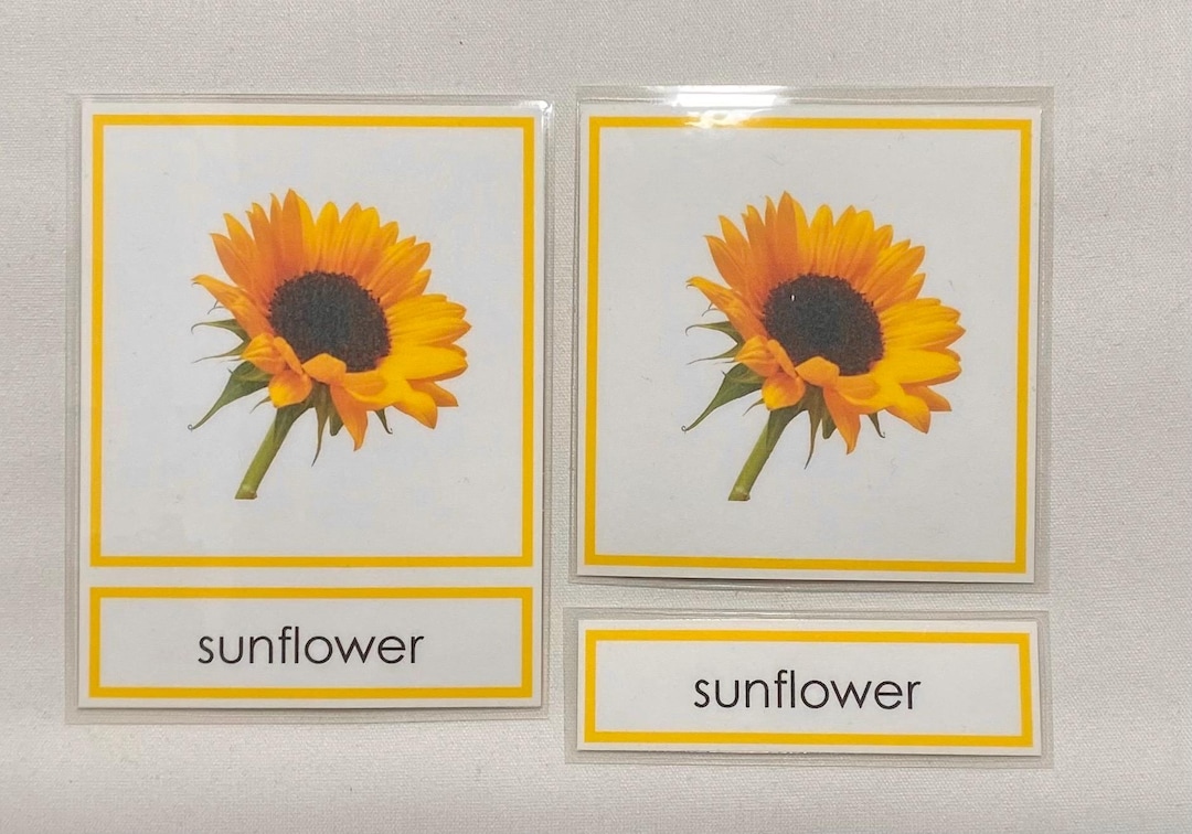 Montessori Flower Classification Card Set With Miniature Flowers, 3 ...
