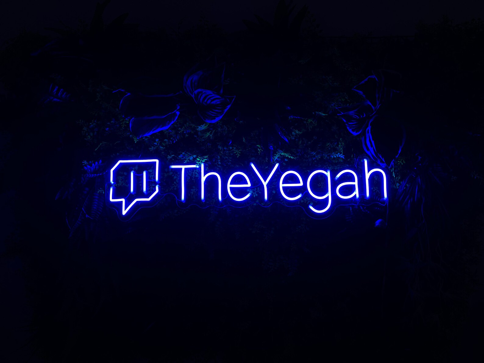 Custom Youtube Neon Sign Neon Youtuber Light Custom Youtuber | Etsy ...