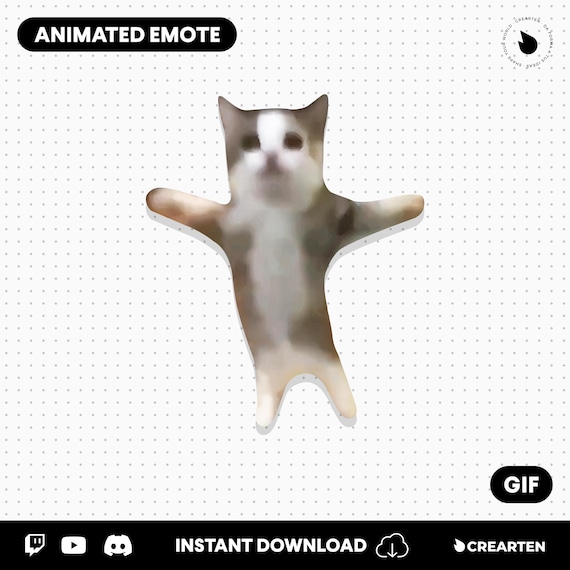 Gif Di Danza Del Gatto Felice
