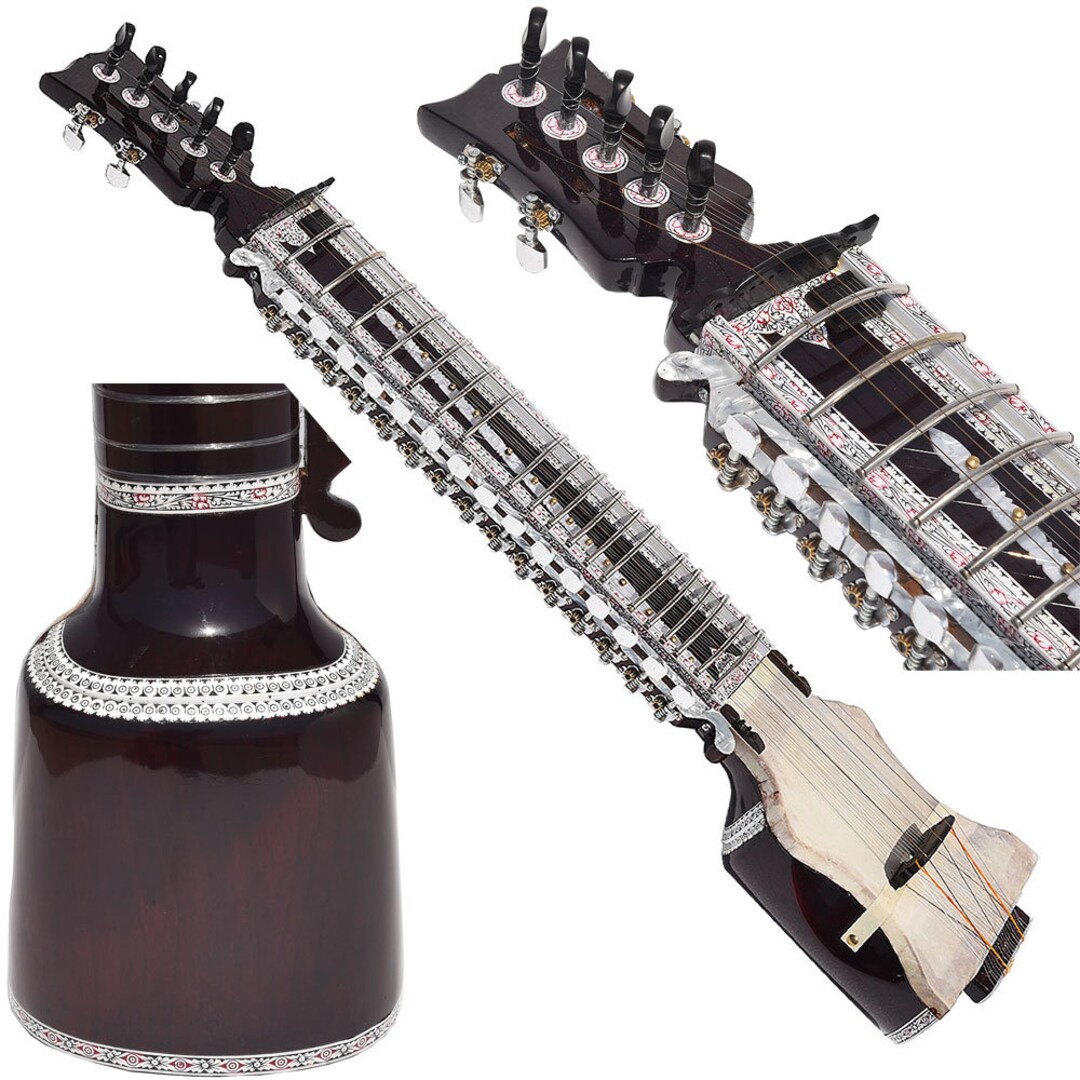 Dilruba With Fiber Hard Case Machine Head Tuning 4 Main-15 - Etsy