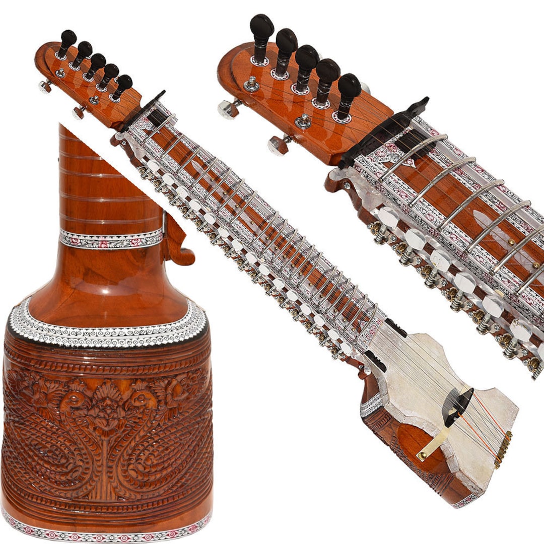 Dilruba With Fiber Hard Case, Machine Head Tuning, 4 Main-15 ...