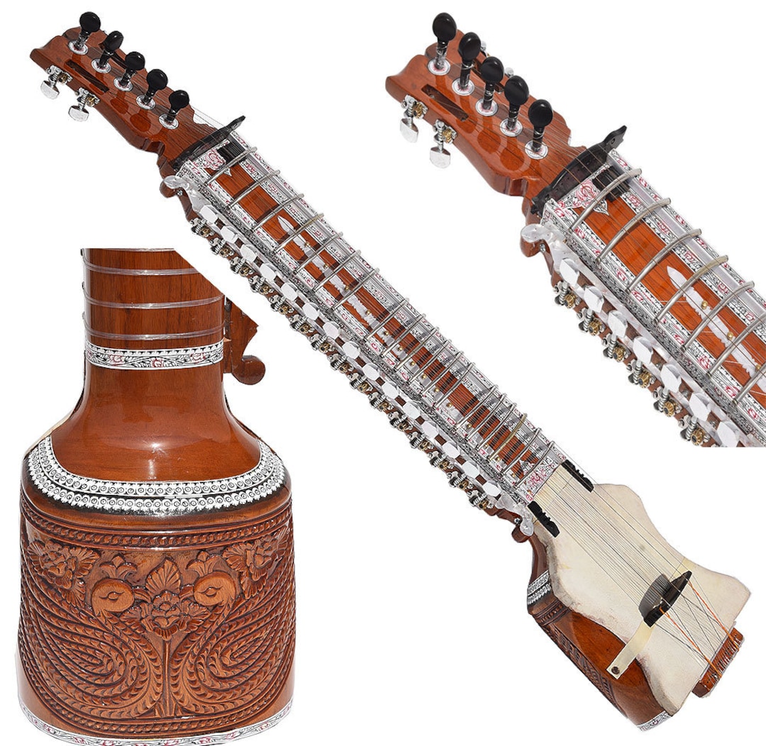 Dilruba With Fiber Hard Case Machine Head Tuning 4 Main-15 - Etsy