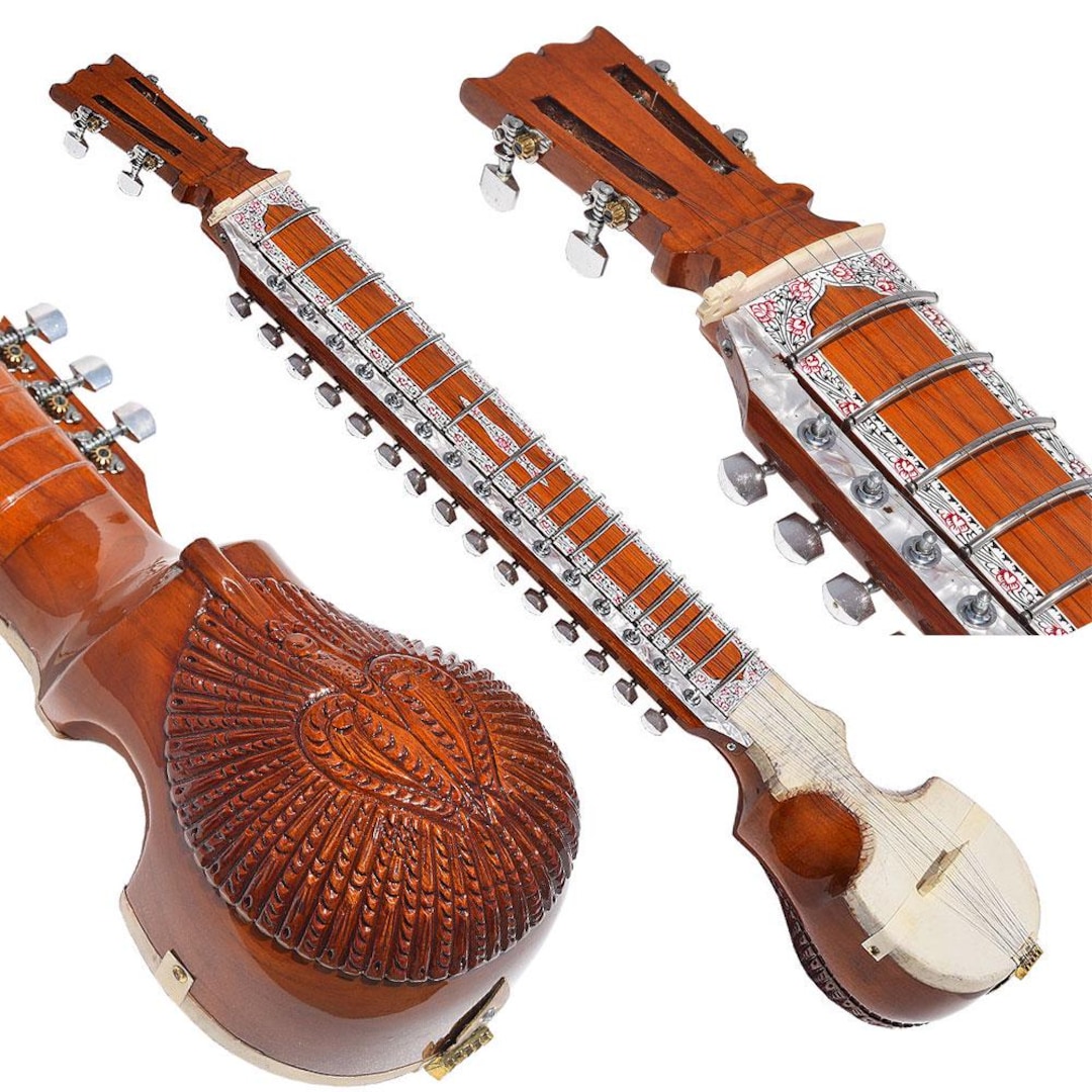 Esraj With Fiber Hard Case, Machine Head Tuning, 4 Main-15 Sympathetic ...