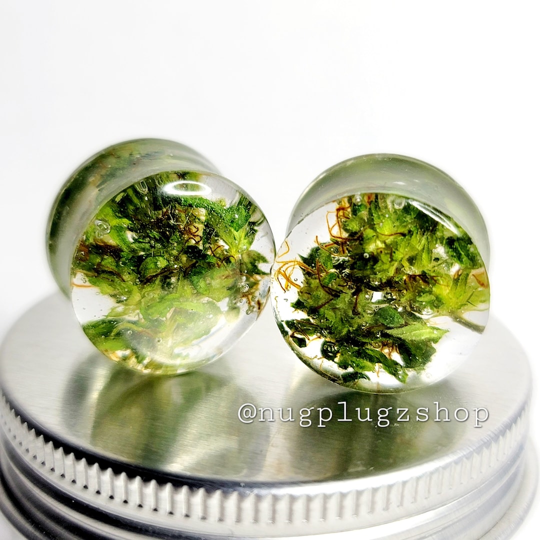 Weed Plugs | Gauge and Plug Earrings | Ear Plug With Hemp | Weed in ...