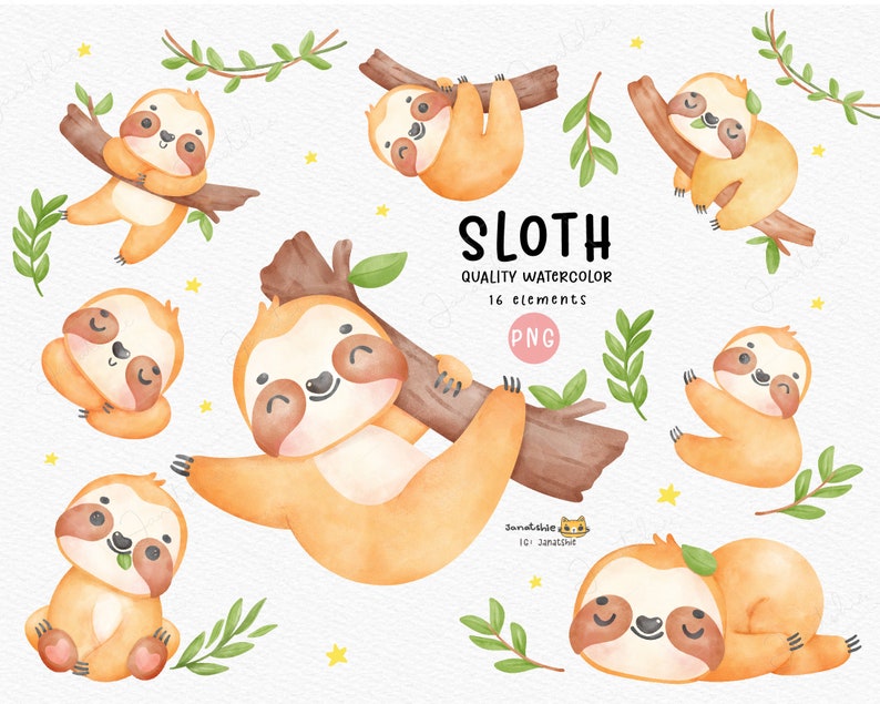 Baby Sloth PNG Watercolor Clipart Set Adorable Newborn Nursery Art ...