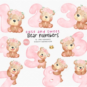 Pink Birthday Bear Numbers Watercolor PNG | Baby Girl Animal Clipart ...