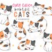 Cat Clipart Set, Cute Calico Cat Png, Digital Clip Art With Japanese ...