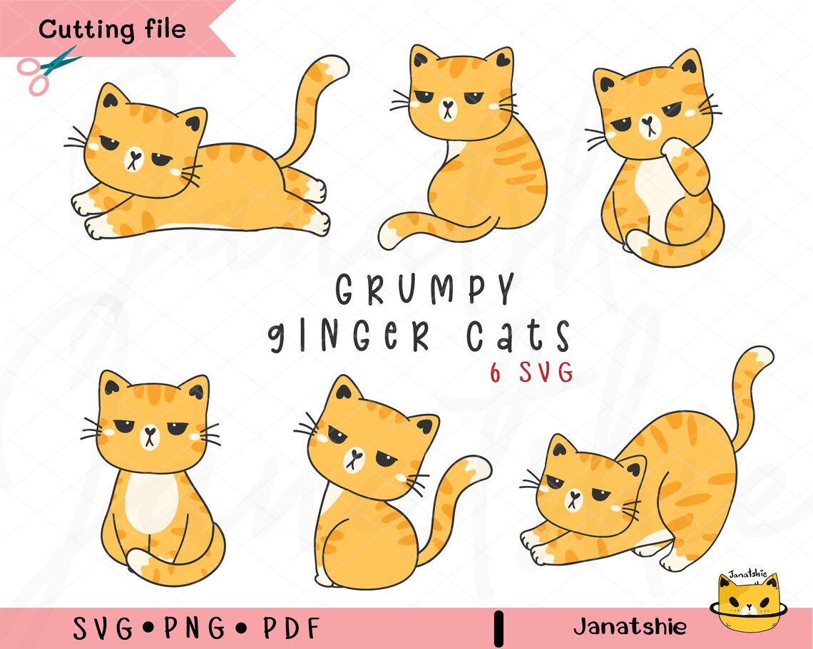Grumpy Cat Png, Grumpy Cat Svg, Funny Ginger Cat SVG Set, Orange Tabby ...