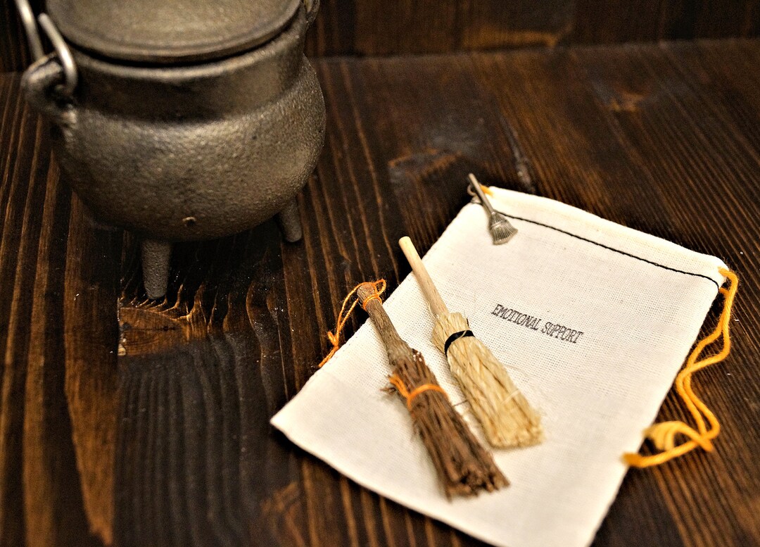 Emotional Support Witch Brooms Set of TWO, Magical Gift, Comforting ...