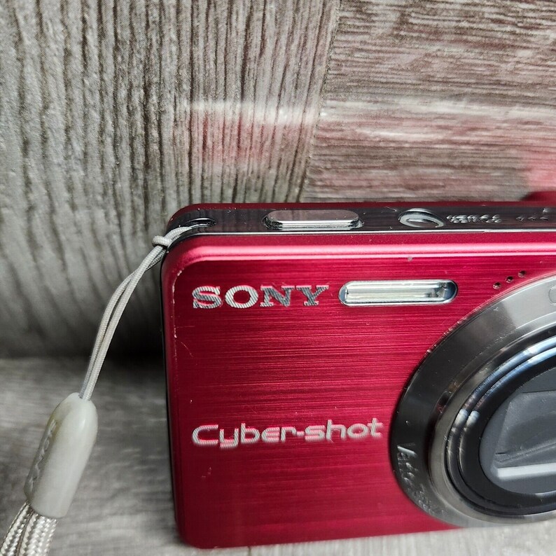 SONY Cyber-shot DSC-W170 10.1MP Digital Camera With 5x Optical Zoom Red ...