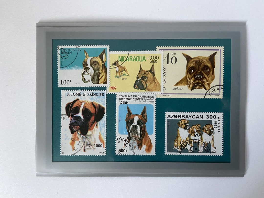 Boxer Dog Postage Stamps Dated From 1963 Onwards on a Large Fridge ...