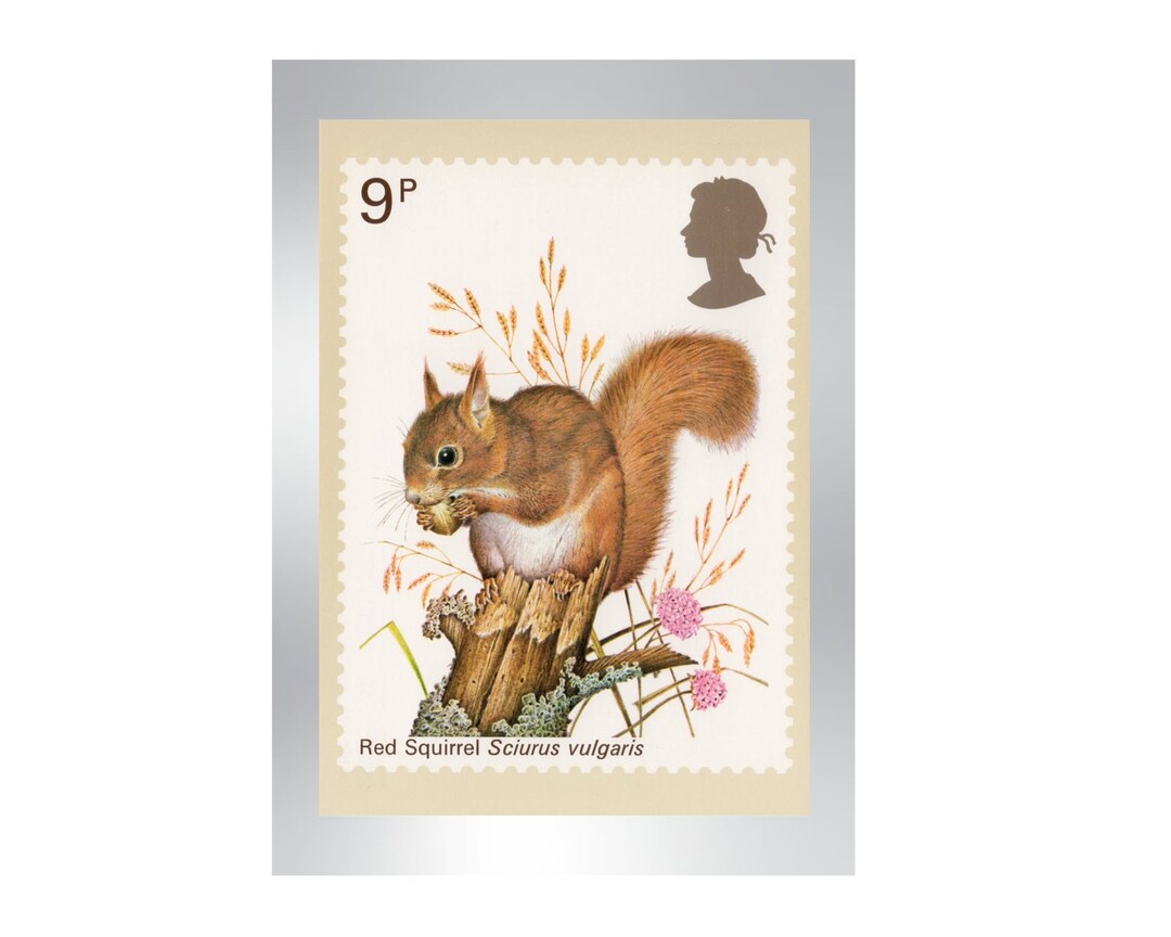 Large Red Squirrel Fridge Magnet / Picture a 1977 Postage Stamp ...