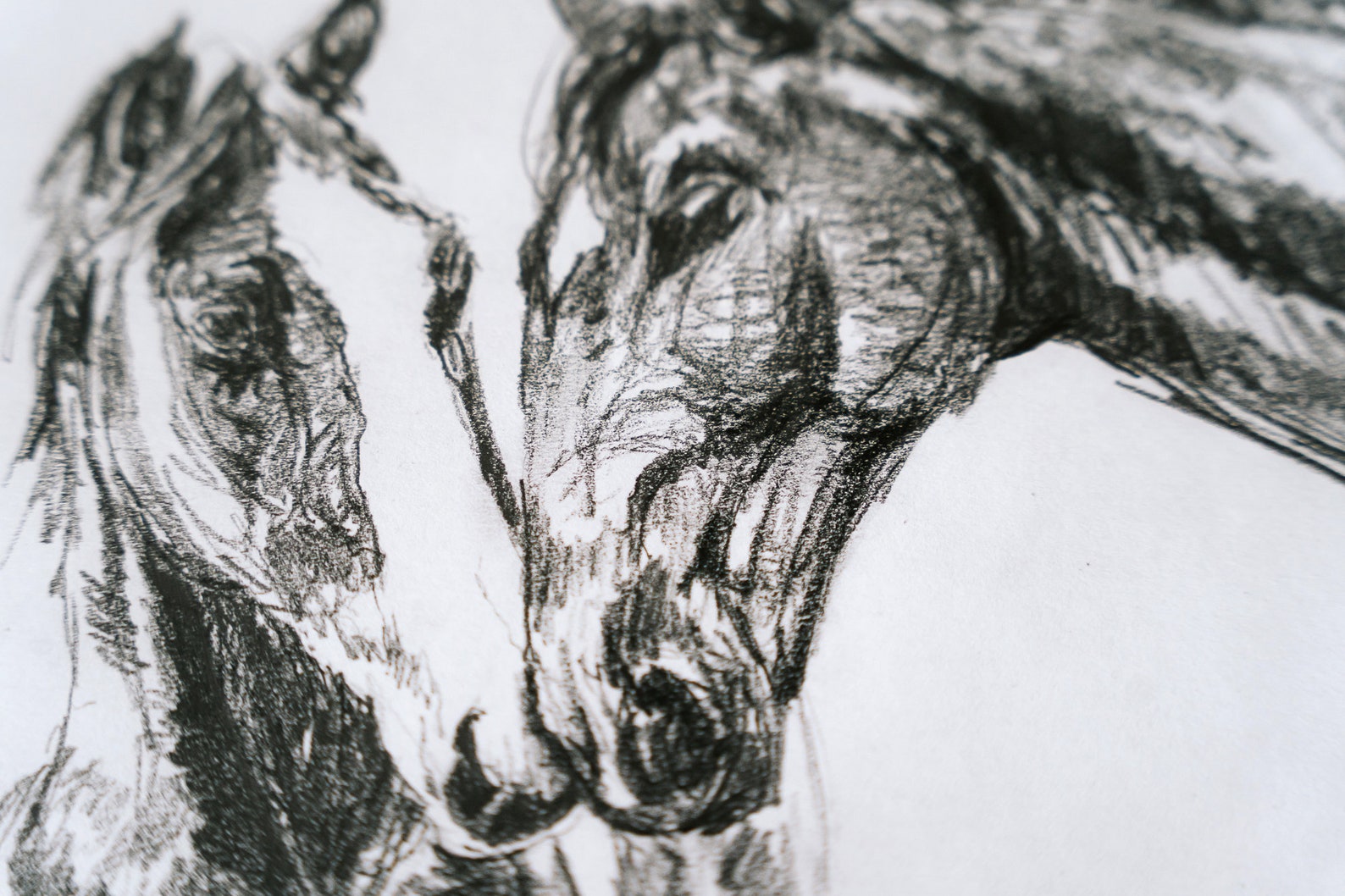 鉛筆による馬のスケッチ、オリジナルアート、8.5x11 - Etsy 日本