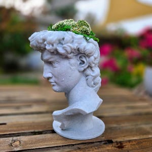 3D Printed David Planter Pot With Marble-like Finish With Brain Cactus ...