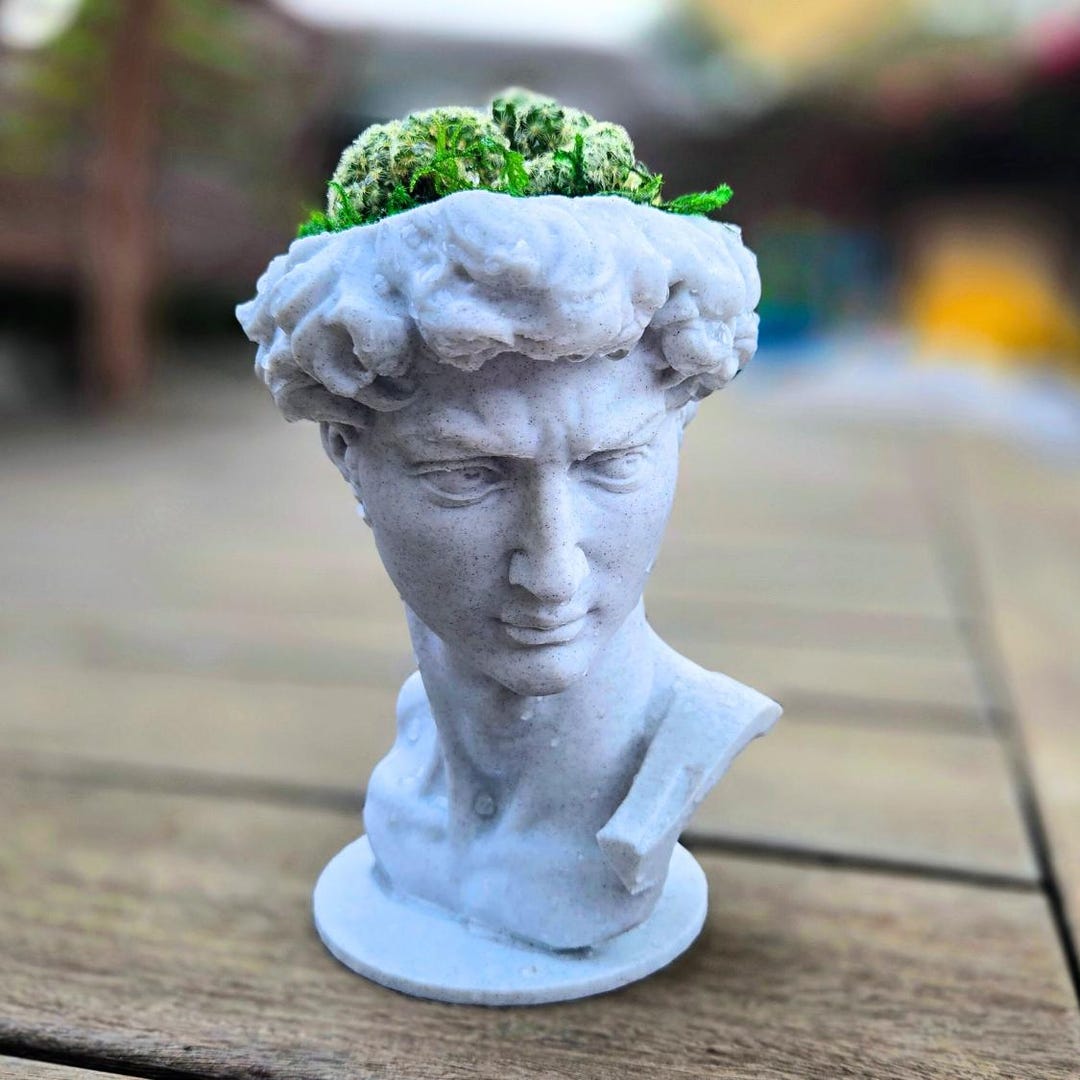 3D Printed David Planter Pot With Marble-like Finish With Brain Cactus ...
