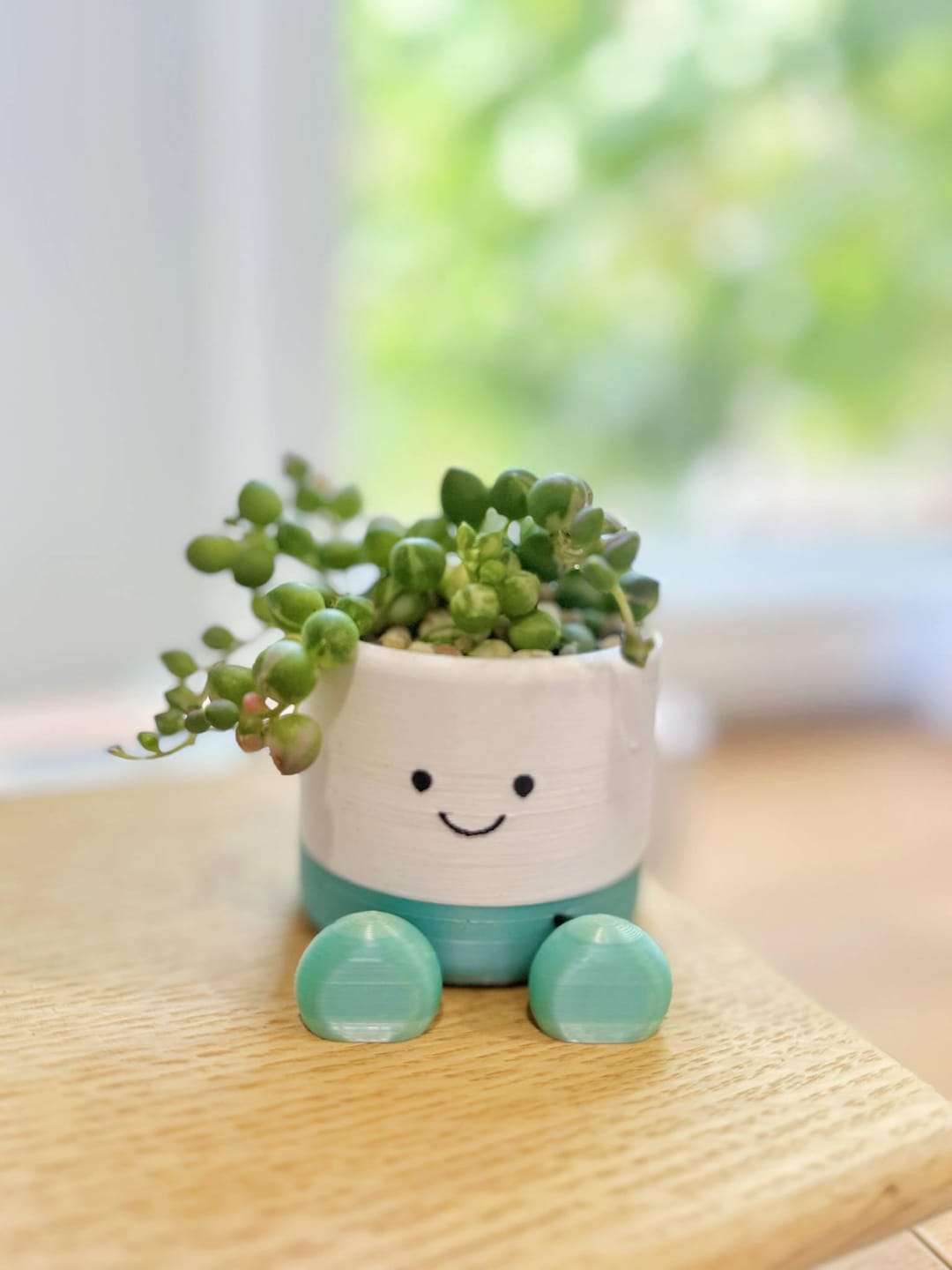3D Printed 'little Guy' Pot With Variegated String of Pearl - Etsy