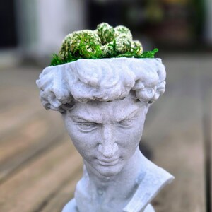 3D Printed David Planter Pot With Marble-like Finish With Brain Cactus ...