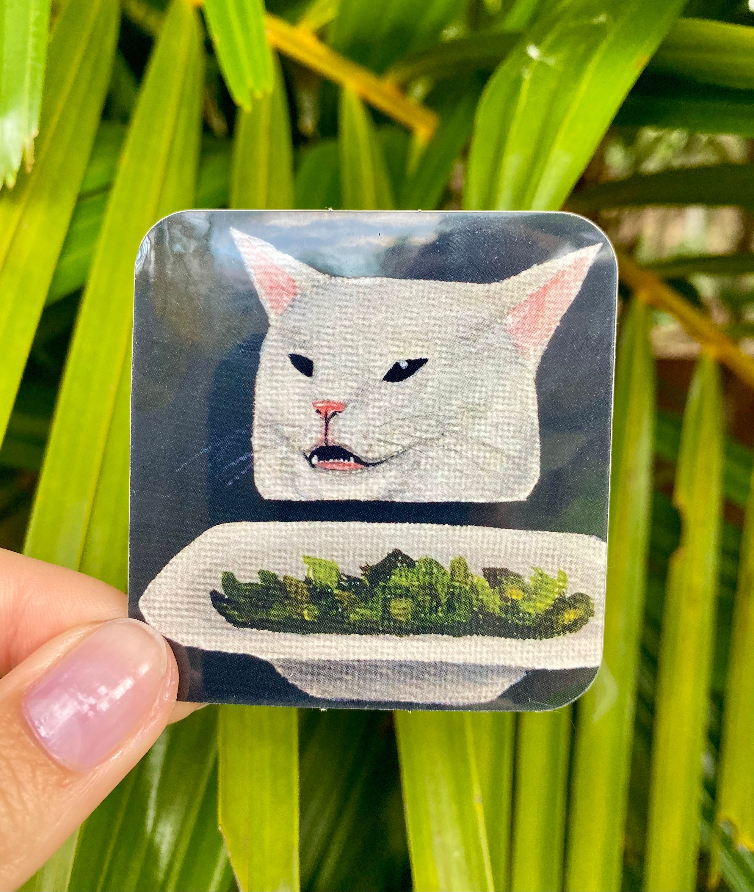 Salad Cat Meme Vinyl Sticker Cat Art Sticker Cat Lover Gift - Etsy