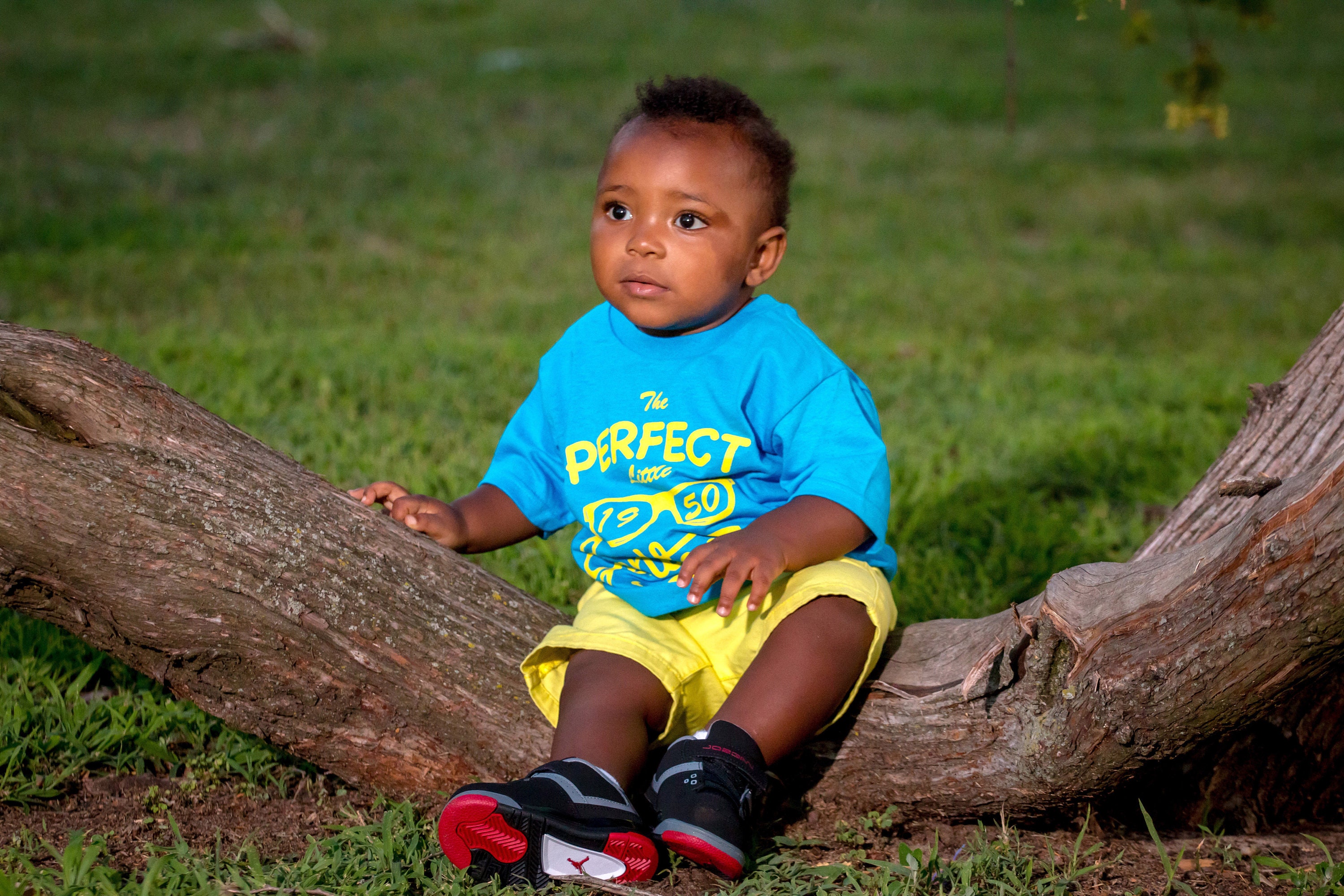 KIDS BLUE T-SHIRT Boys Funny Tshirt The Perfect Little - Etsy.de