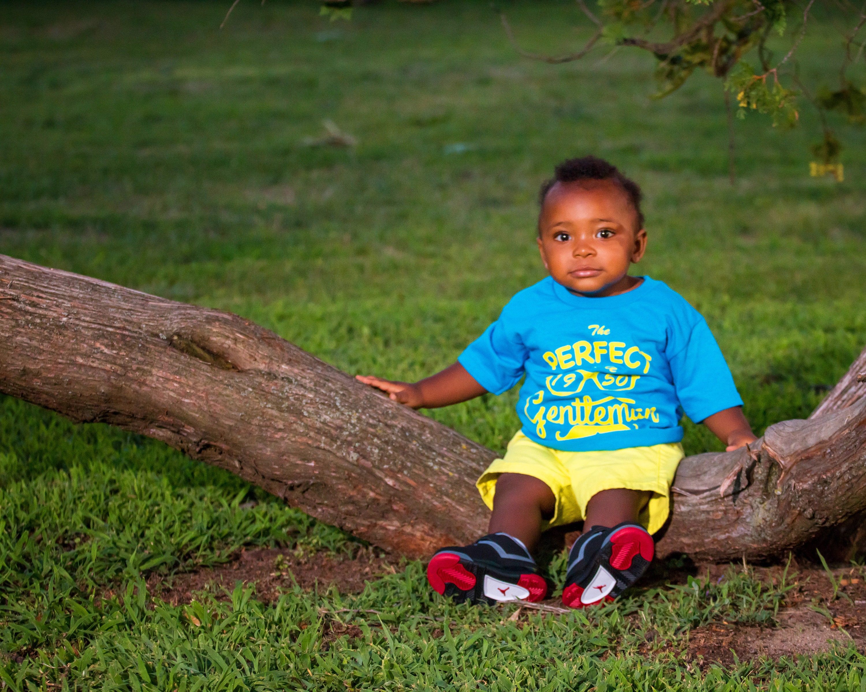 KIDS BLUE T-SHIRT Boys Funny Tshirt The Perfect Little - Etsy.de