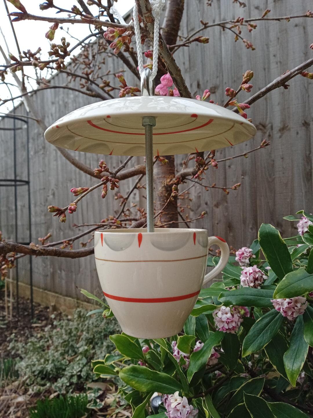 Tea Cup and Saucer Hanging Bird Feeder - Etsy