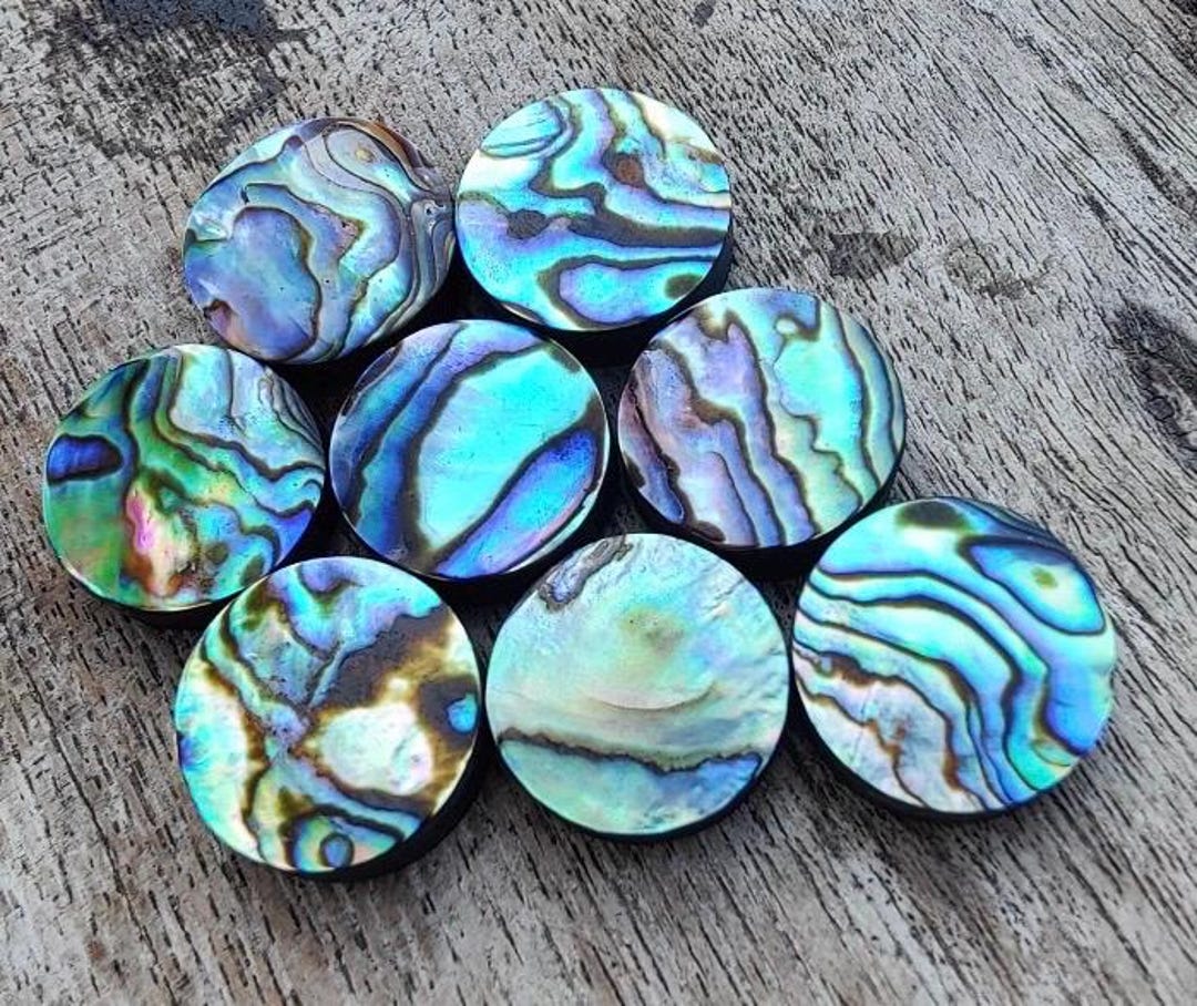 Natural Abalone Shell Cabochons: 20mm Round Gemstone, 5 Pcs - Etsy