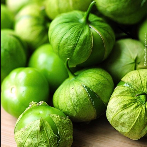25 Seeds Toma Verde Tomatillo Seeds Easy Grow Green Ethnic - Etsy