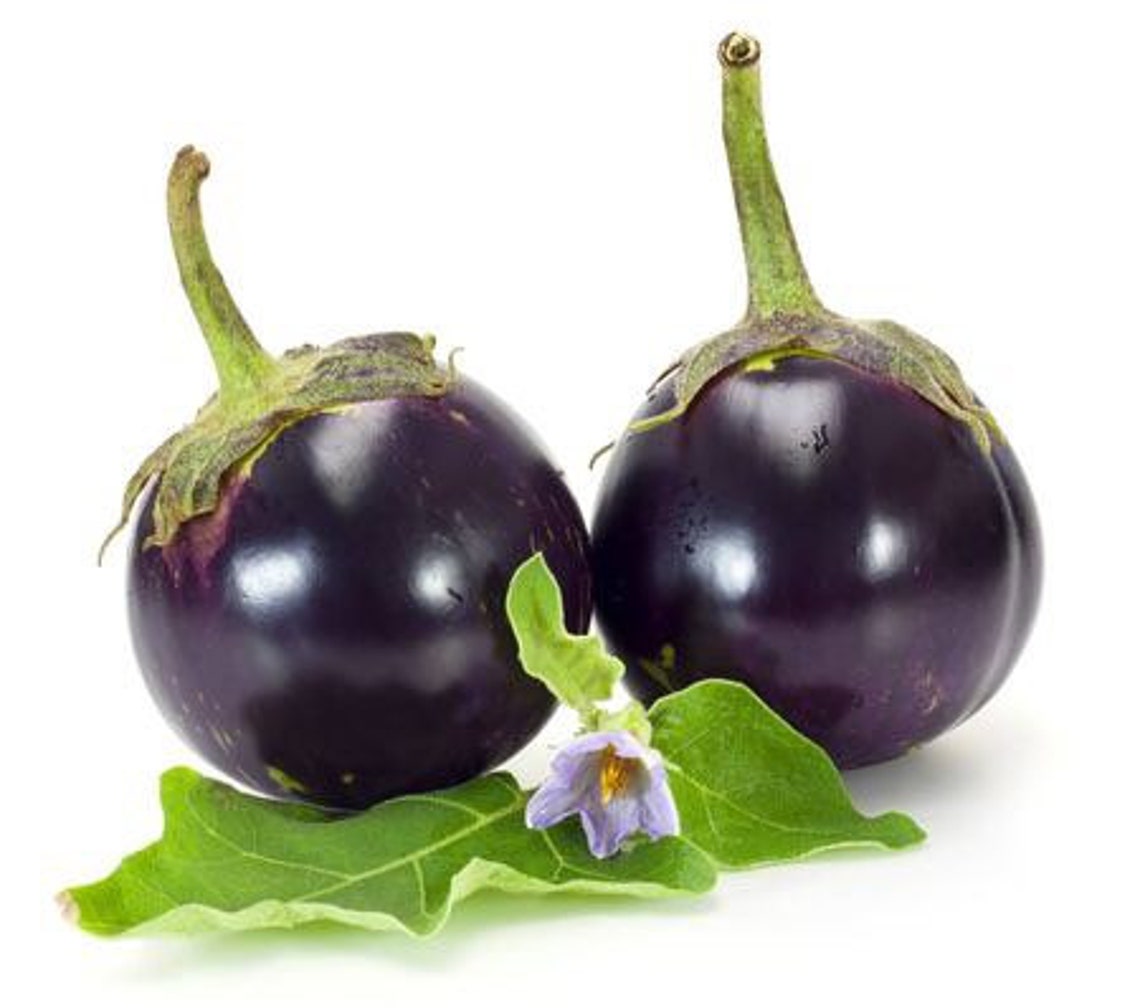 50 zaden Biologische ronde aubergine Paars aubergine - Etsy België