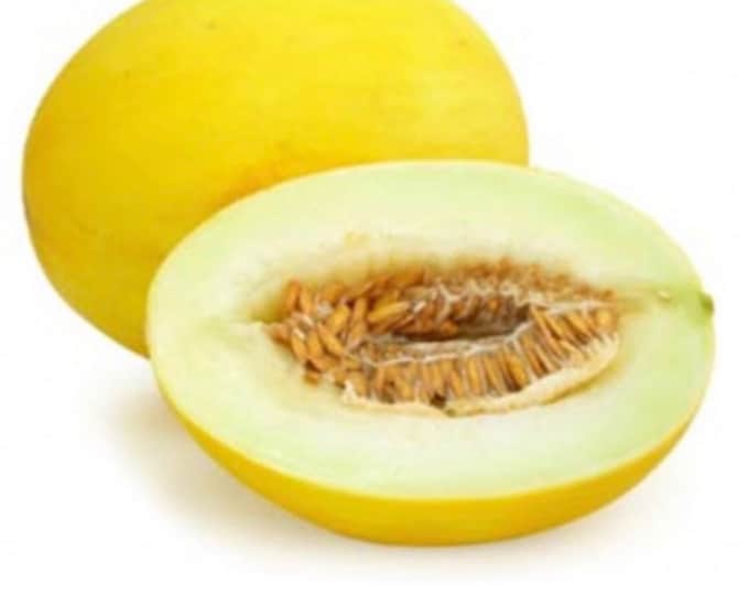 30 Golden Honeydew Melon Seeds - Etsy