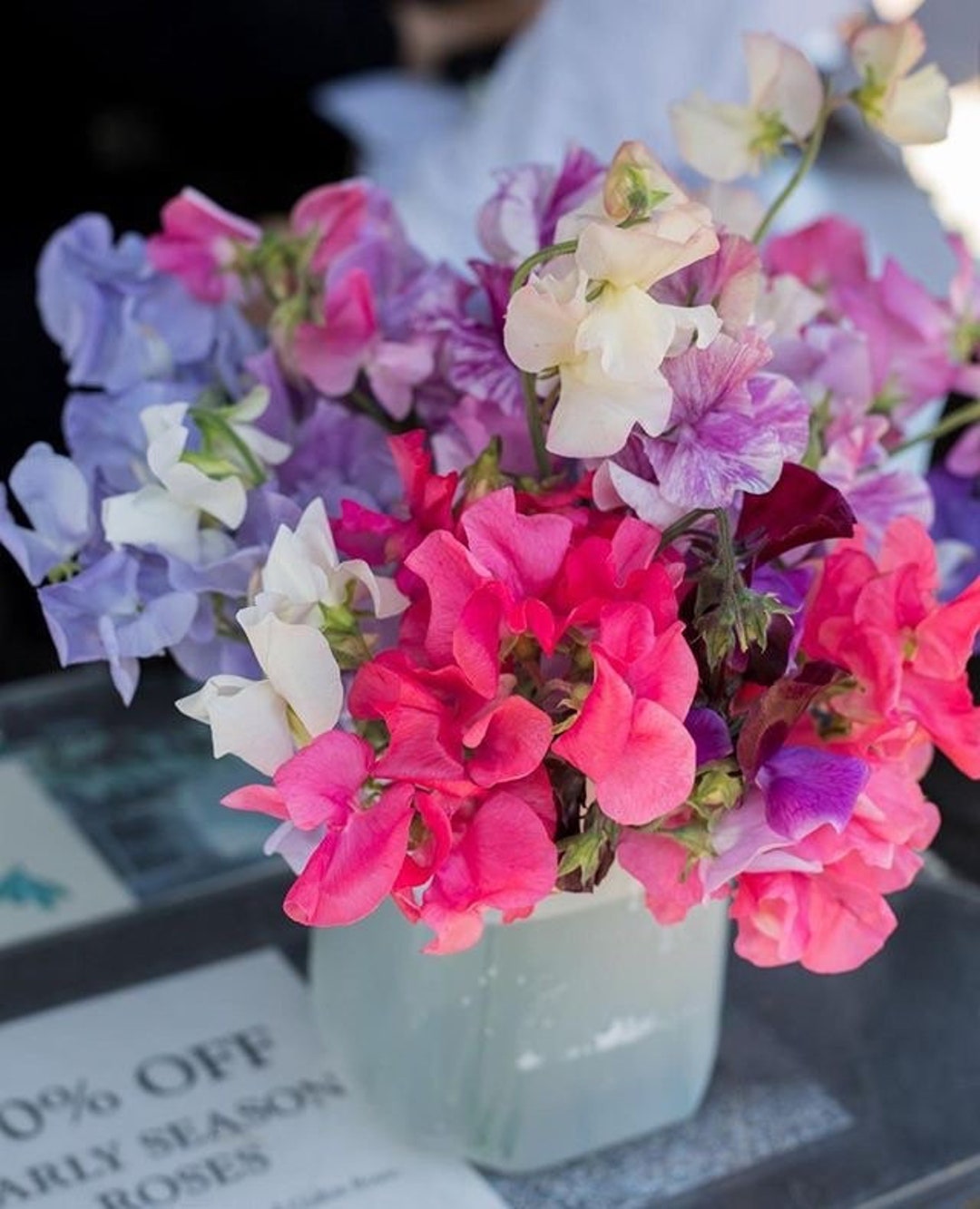 20 Seeds Mix Color Organic Sweet Pea - Etsy