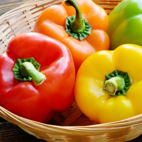 100 Seeds Sweet Sunrise Organic Color Bell Pepper Seed Mix - Etsy