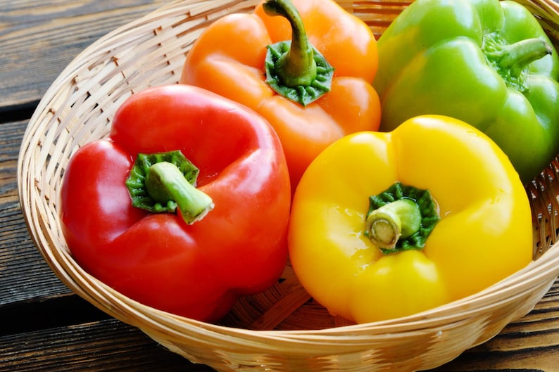 100 Seeds Sweet Sunrise Organic Color Bell Pepper Seed Mix - Etsy