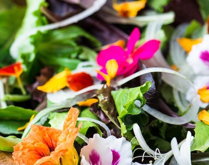 50 Seeds Organic Edible Flower and Herbs Mix Pansies, Cornflowers ...