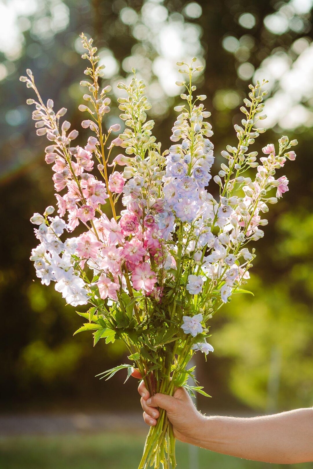 Magic Fountains Seed Pastel Mix Wildflowers English Garden Wedding ...